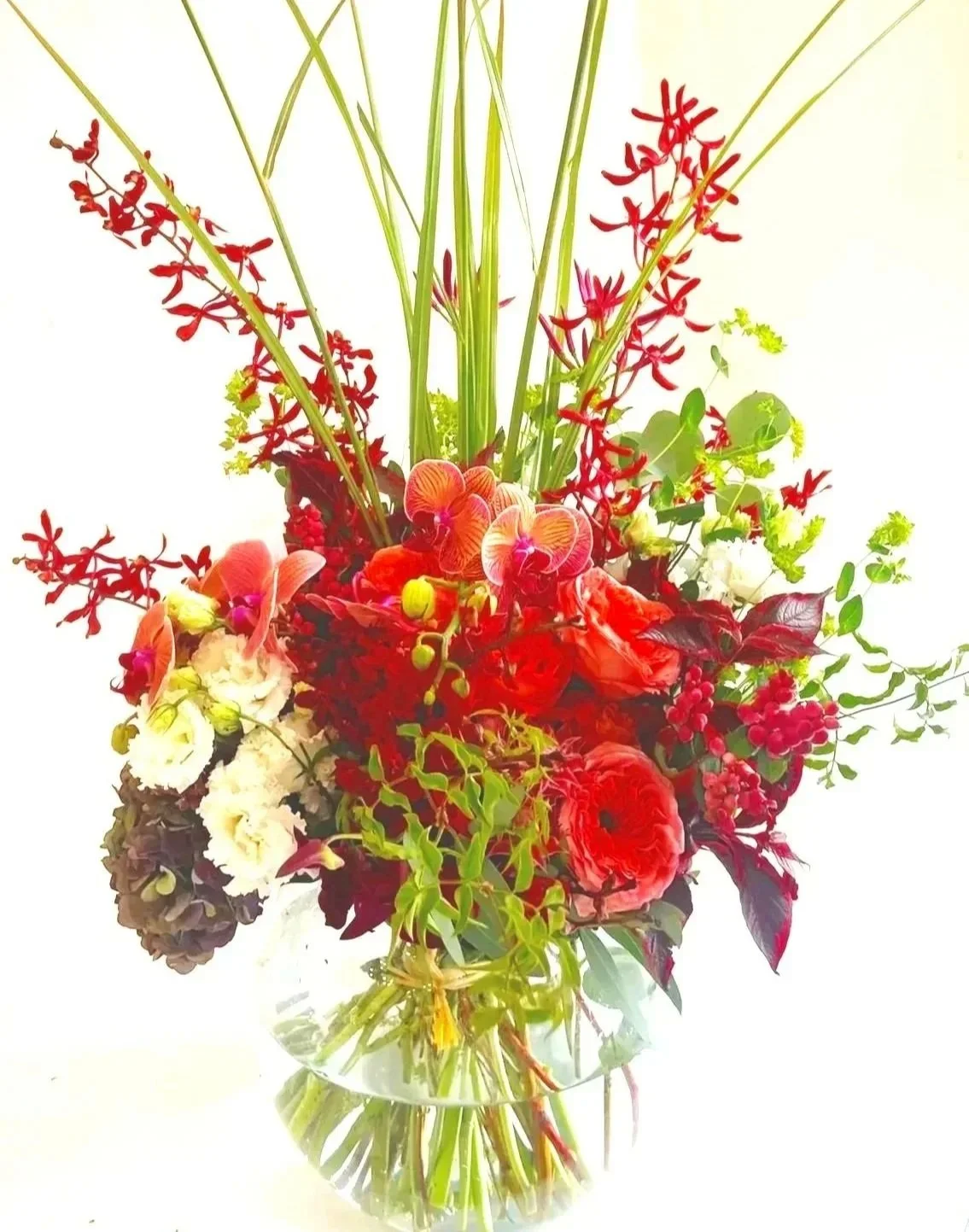 Hanaya Early Spring Collections — Hanaya Floral Design