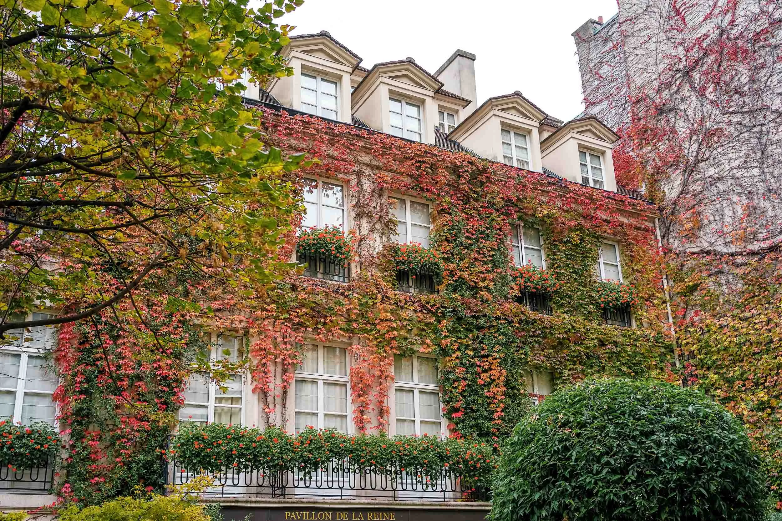 Best Hotel Le Marais Paris: Le Pavillon de la Reine — ckanani