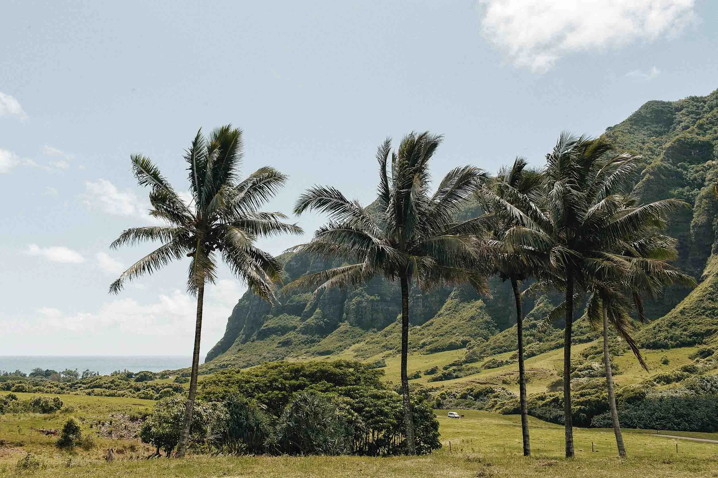 Jurassic Park Hawaii - A Guide to Visiting Kualoa Ranch — ckanani