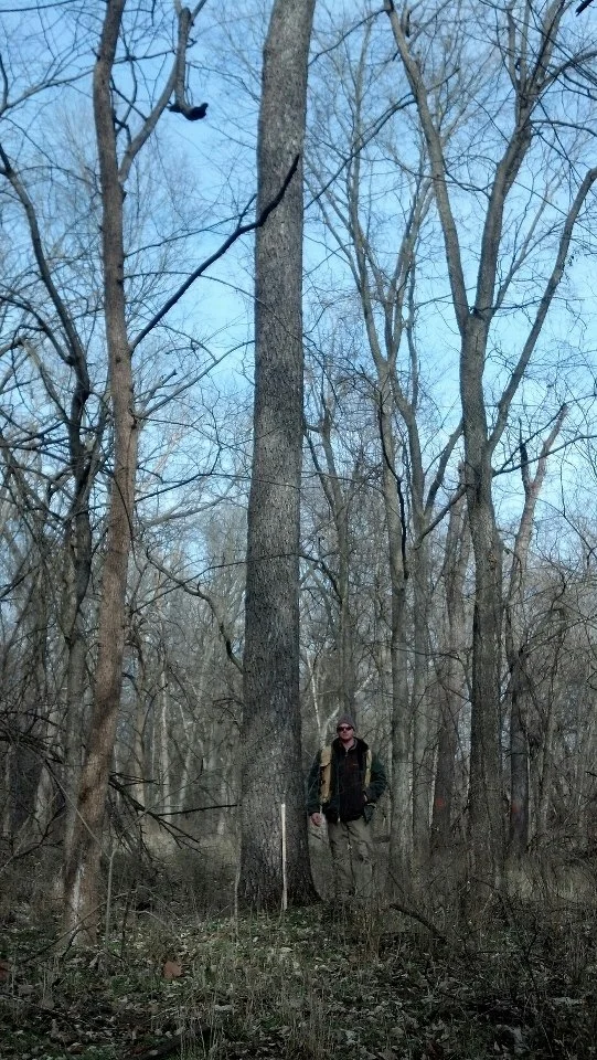 Western Missouri Forestry LLC