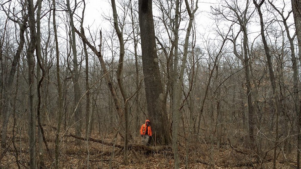 Western Missouri Forestry LLC