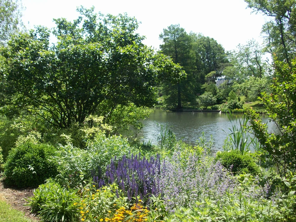 Secrets of the East Side: Murphy Lake — Forest Park Forever