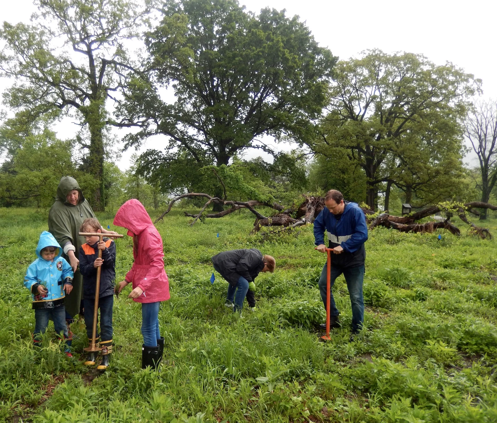 Planting With KWAG in the John F. Kennedy Memorial Forest — Forest Park ...