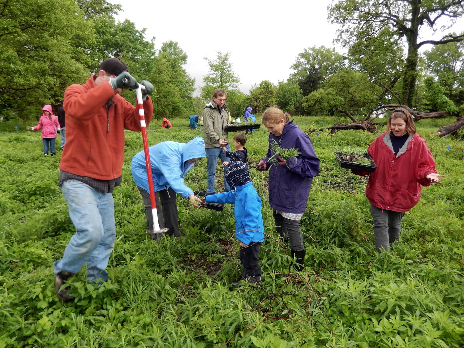 Planting With KWAG in the John F. Kennedy Memorial Forest — Forest Park ...
