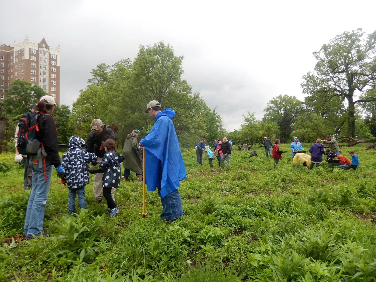 Planting With KWAG in the John F. Kennedy Memorial Forest — Forest Park ...