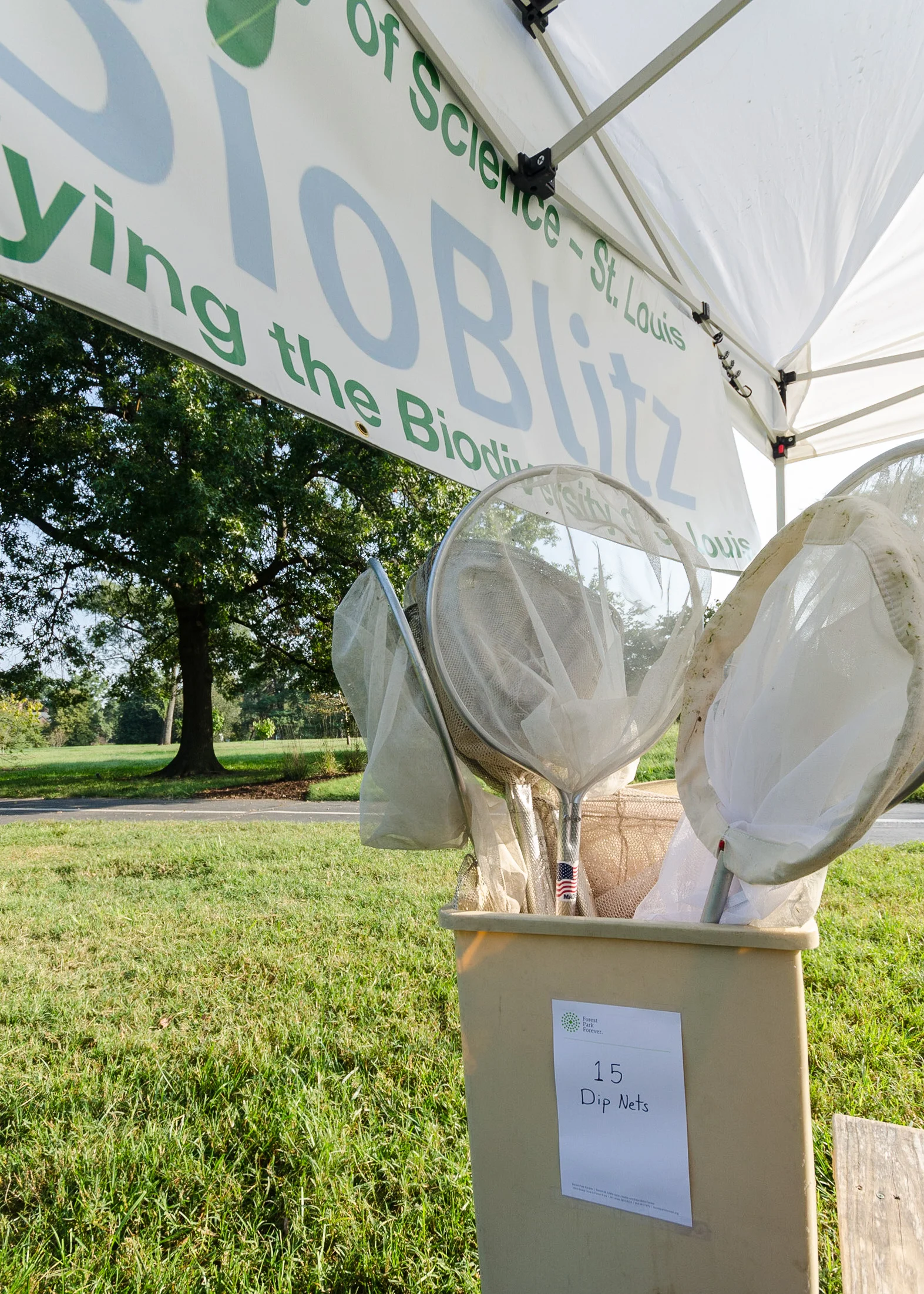 Exploring Forest Park's Biodiversity with BioBlitz — Forest Park Forever