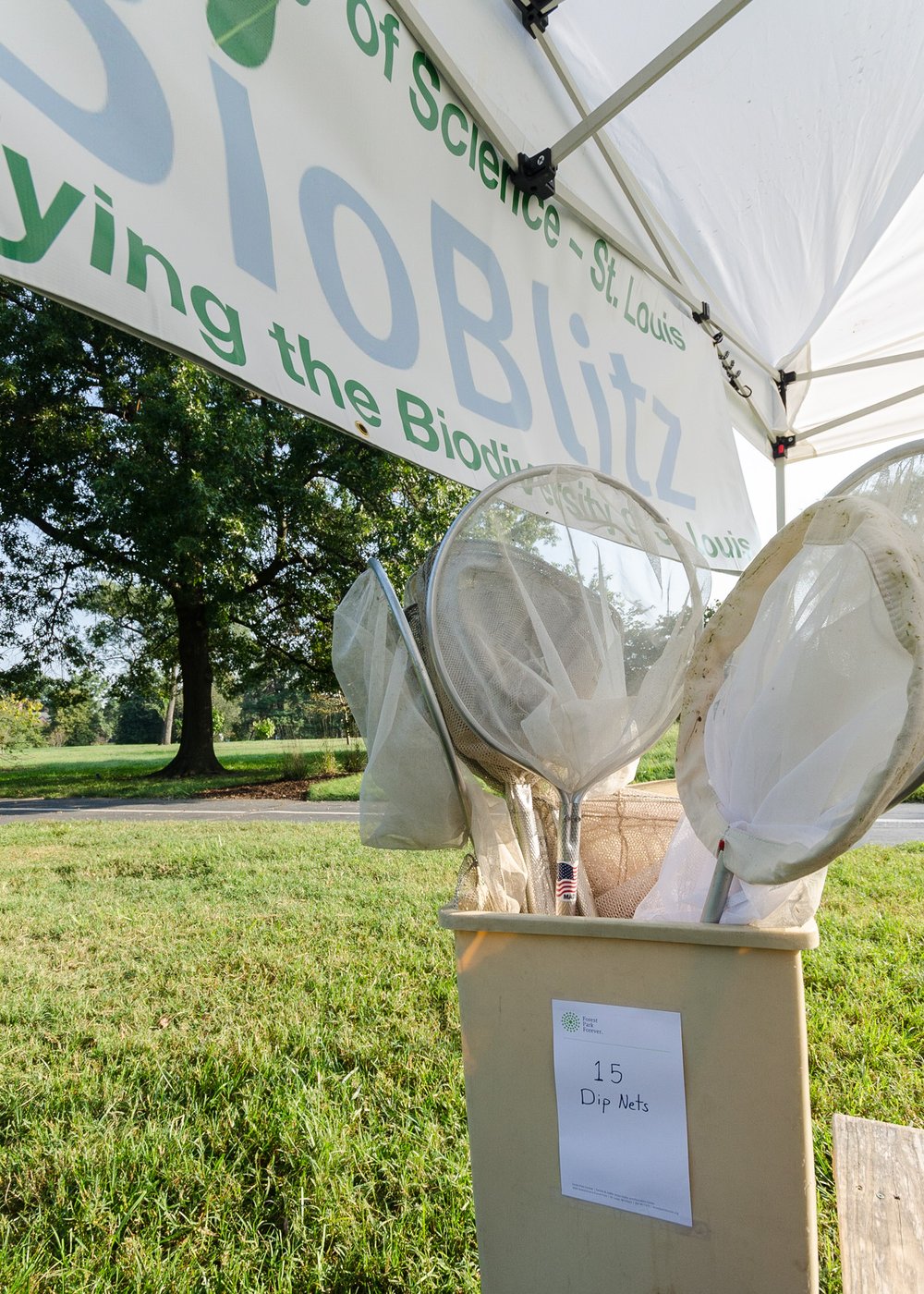 Exploring Forest Park's Biodiversity with BioBlitz — Forest Park Forever