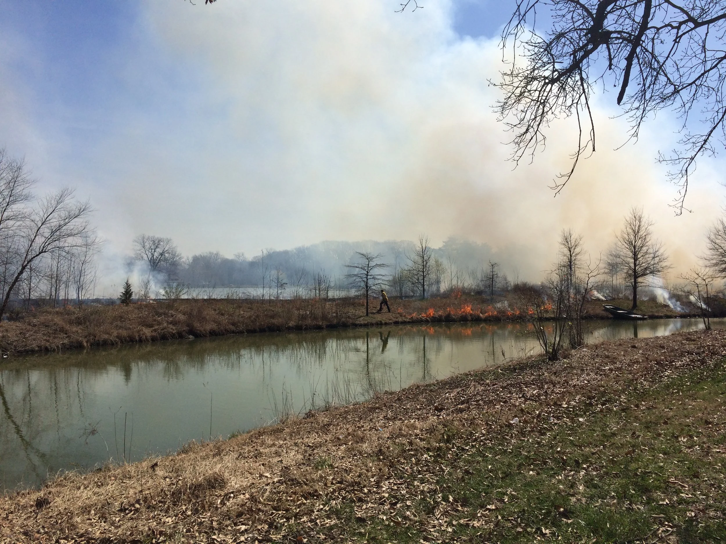 Controlled Burning — Forest Park Forever