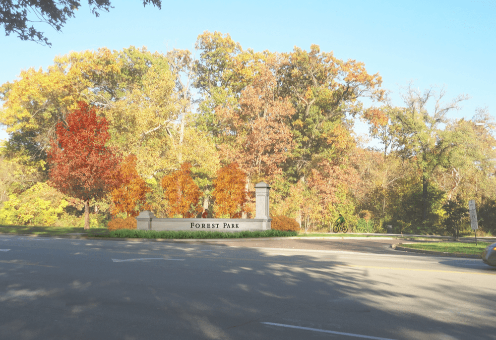 Exciting Forest Park Restoration Projects Advance Toward Construction ...