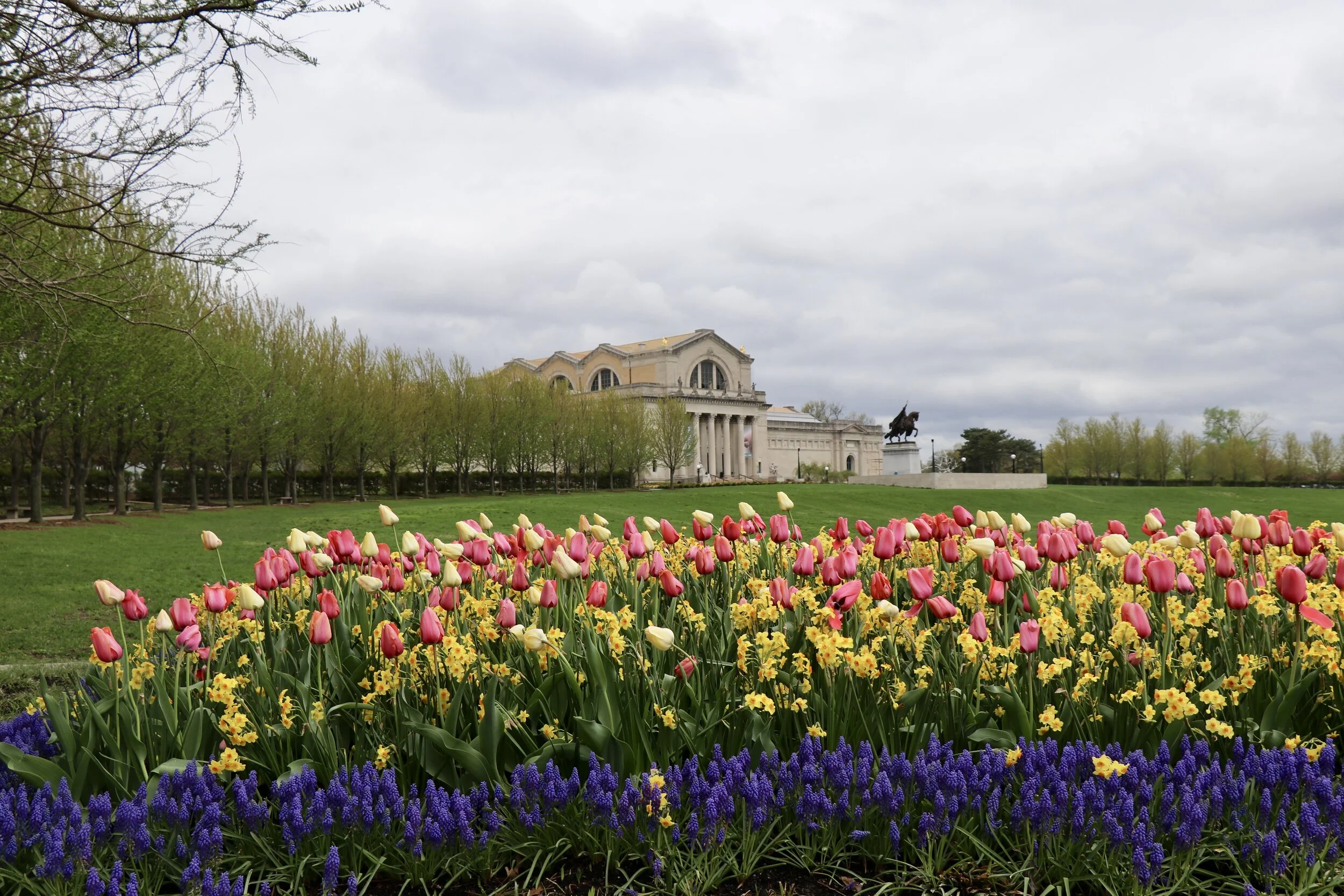 Best Spots to Photograph in Forest Park + Expert Tips — Forest Park Forever