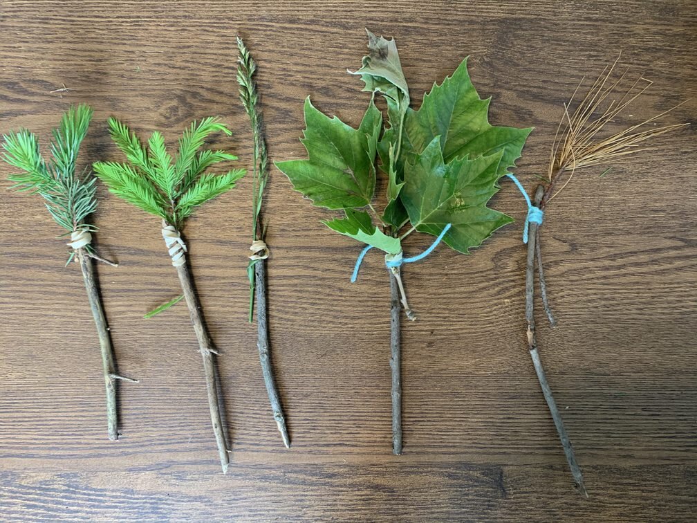 How to Make Natural Paintbrushes — Forest Park Forever