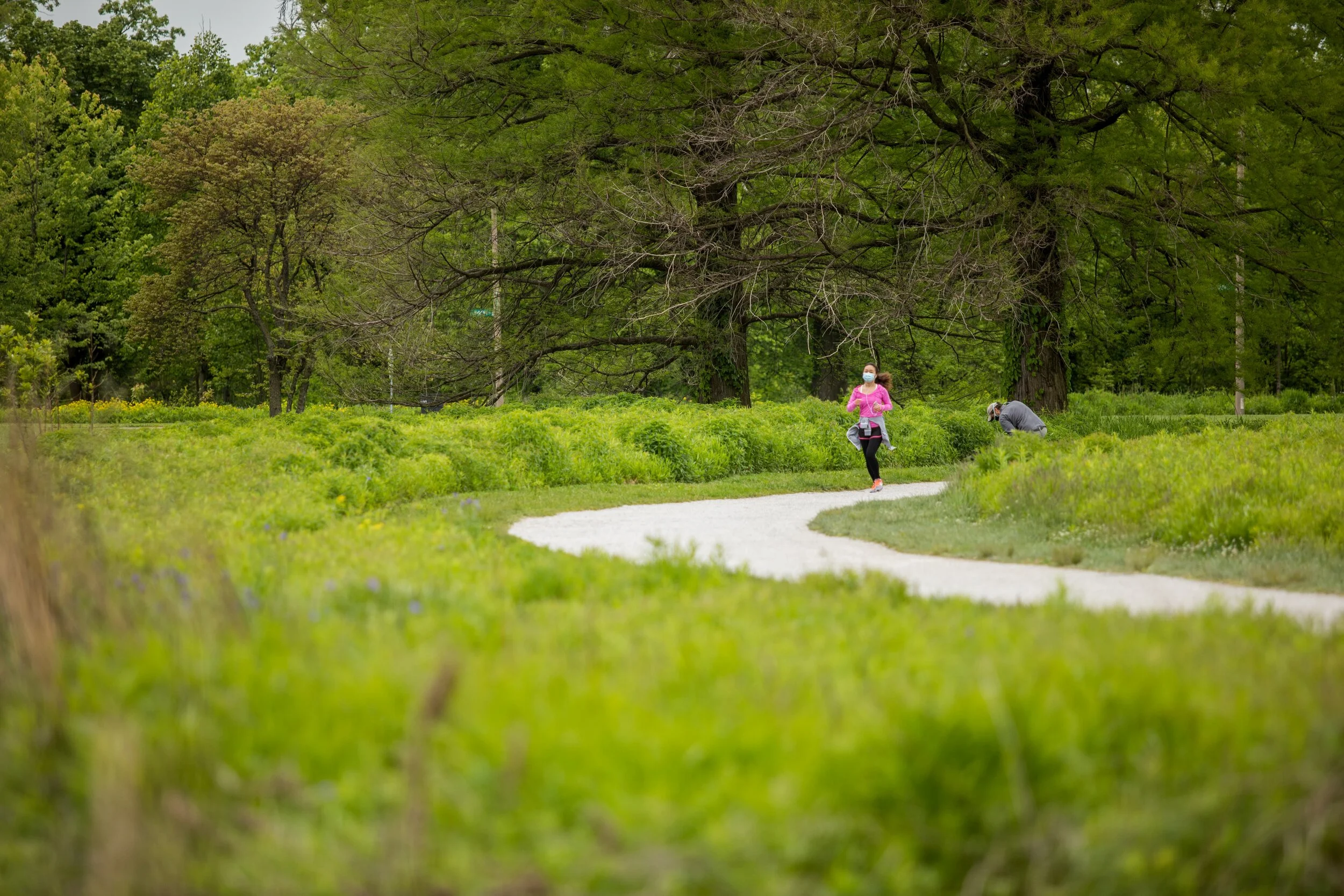 Five Virtual Run Tips — Forest Park Forever