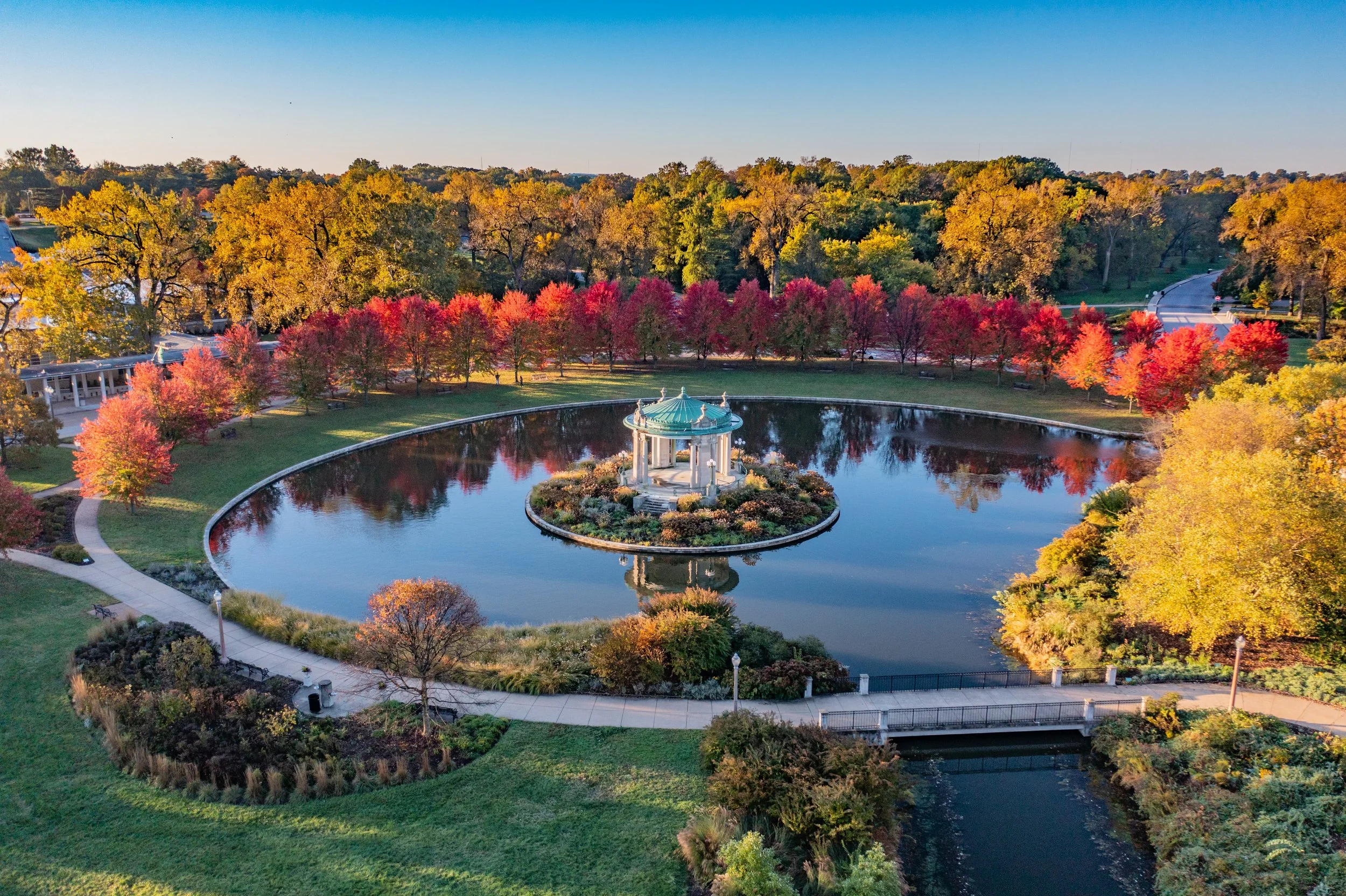 7 Spots to Watch the Magic of the Trees in Forest Park — Forest Park ...