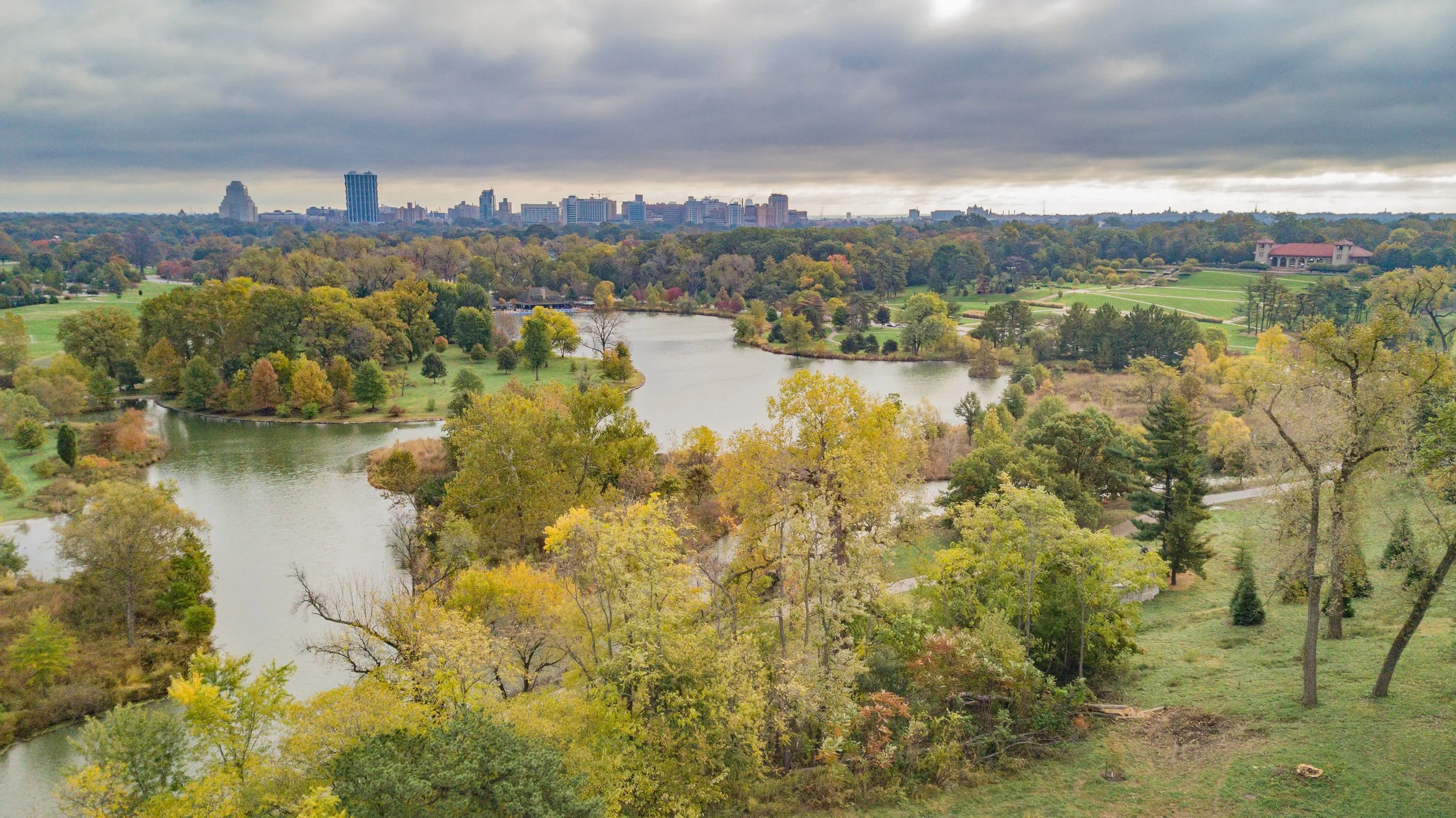 7 Spots to Watch the Magic of the Trees in Forest Park — Forest Park ...