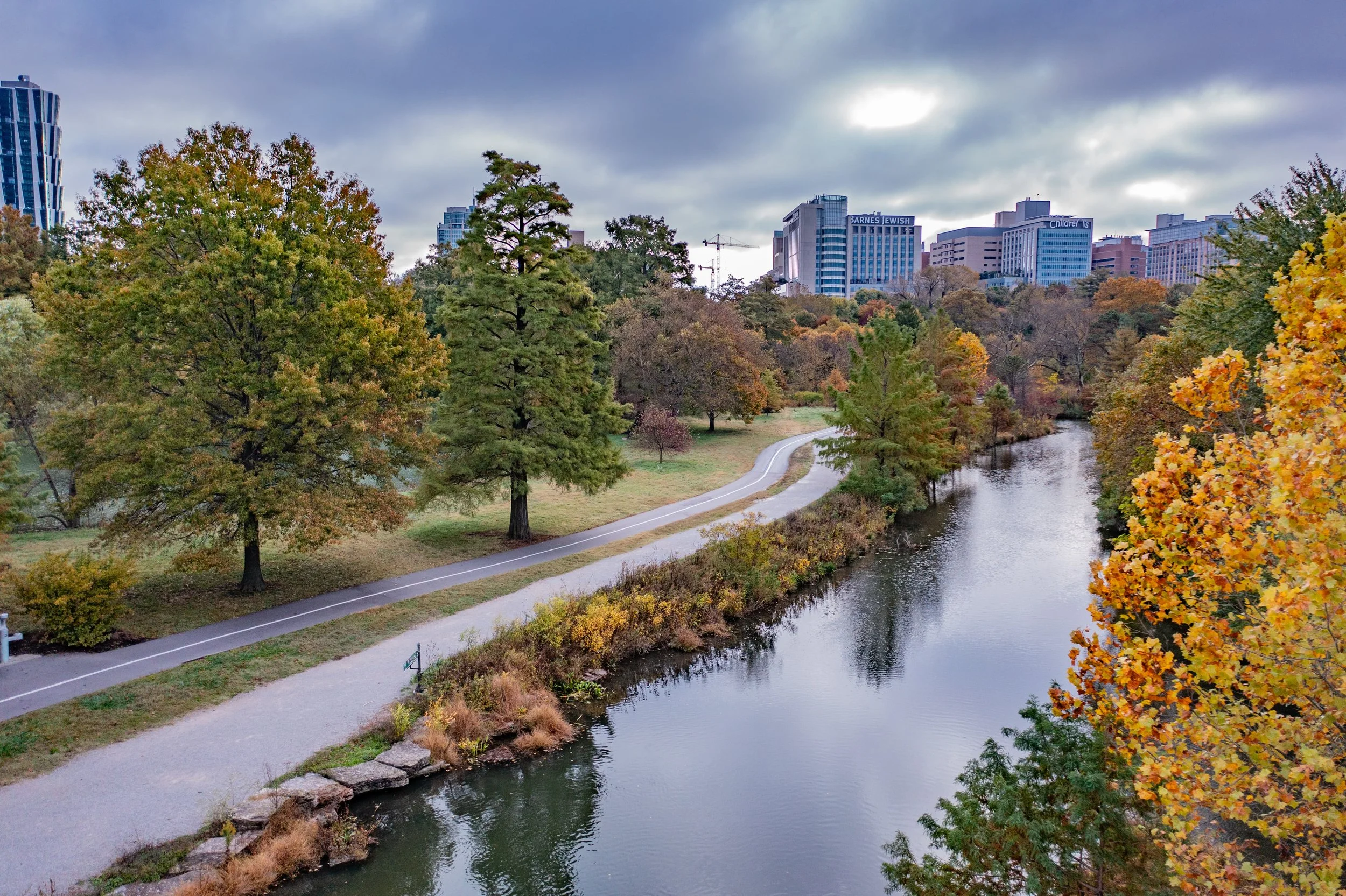 7 Spots to Watch the Magic of the Trees in Forest Park — Forest Park ...