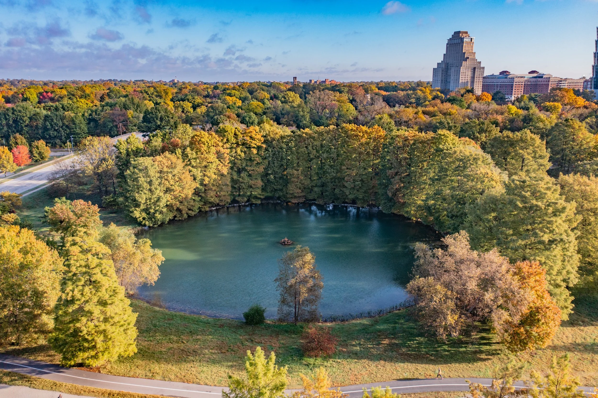 7 Spots to Watch the Magic of the Trees in Forest Park — Forest Park ...