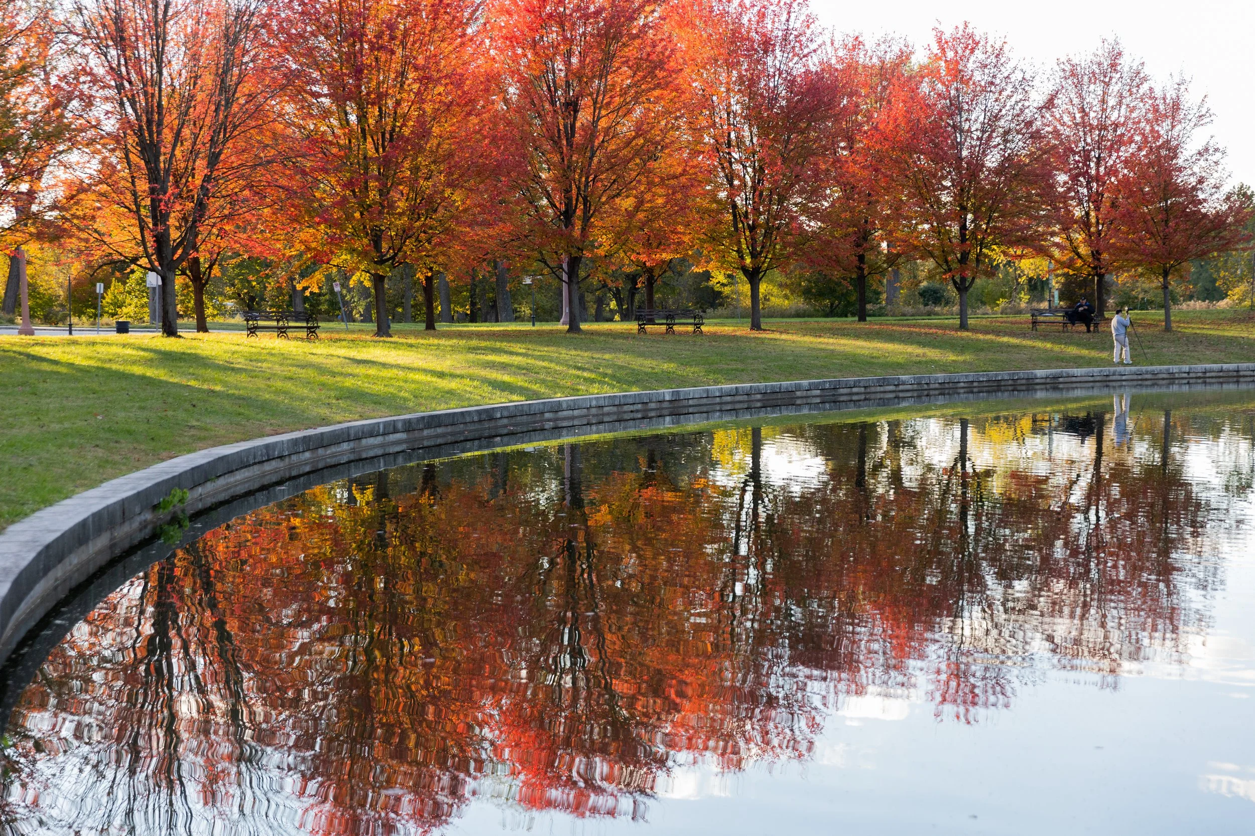 Board Members Reception — Forest Park Forever