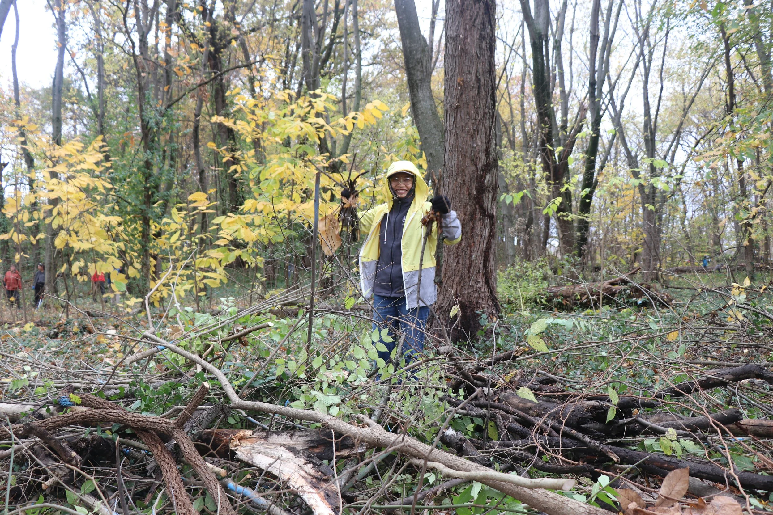 Removing Invasive Plant Species Helps Restore Kennedy Forest — Forest ...