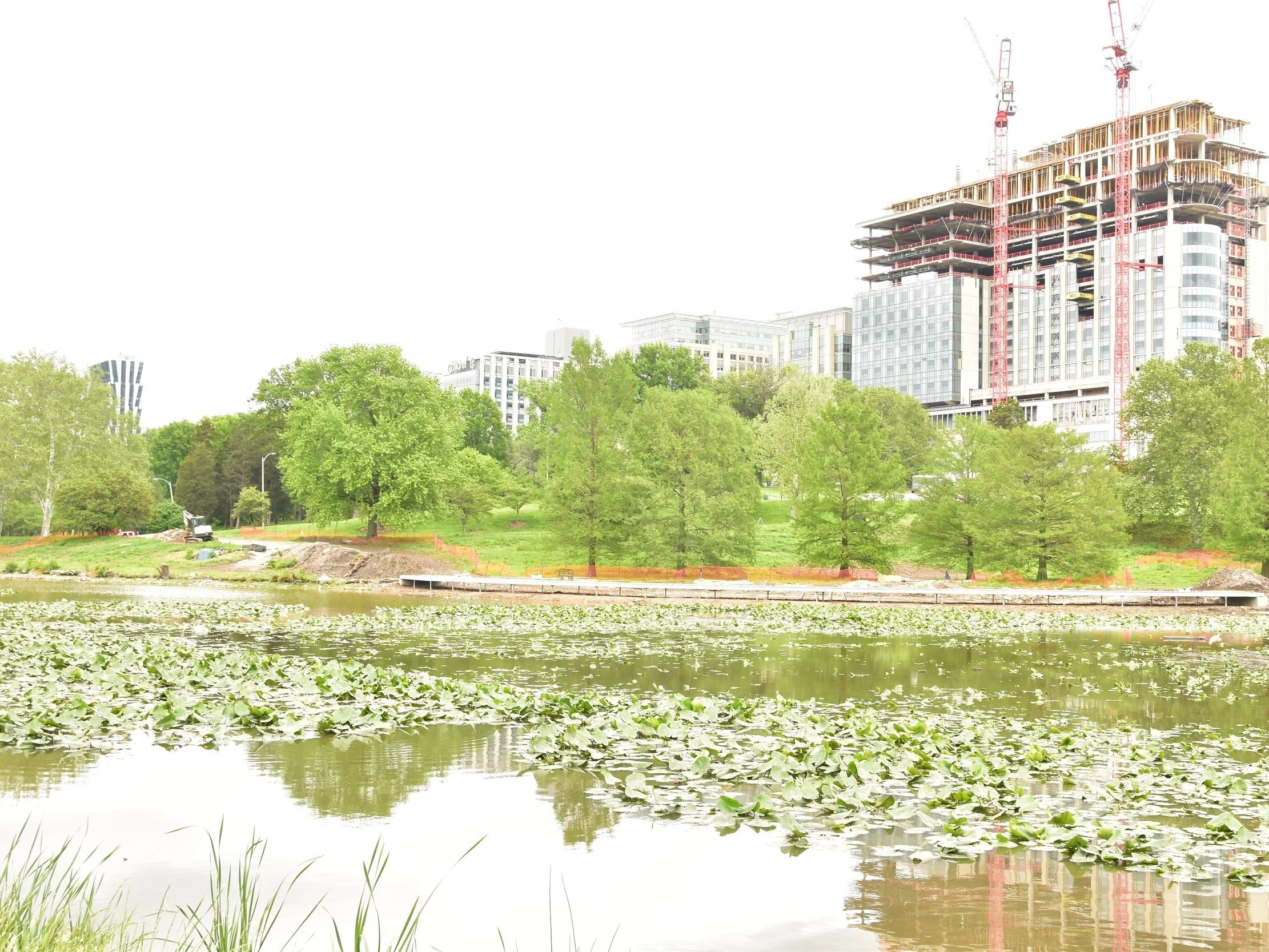 Forest Park East Waterways — Forest Park Forever