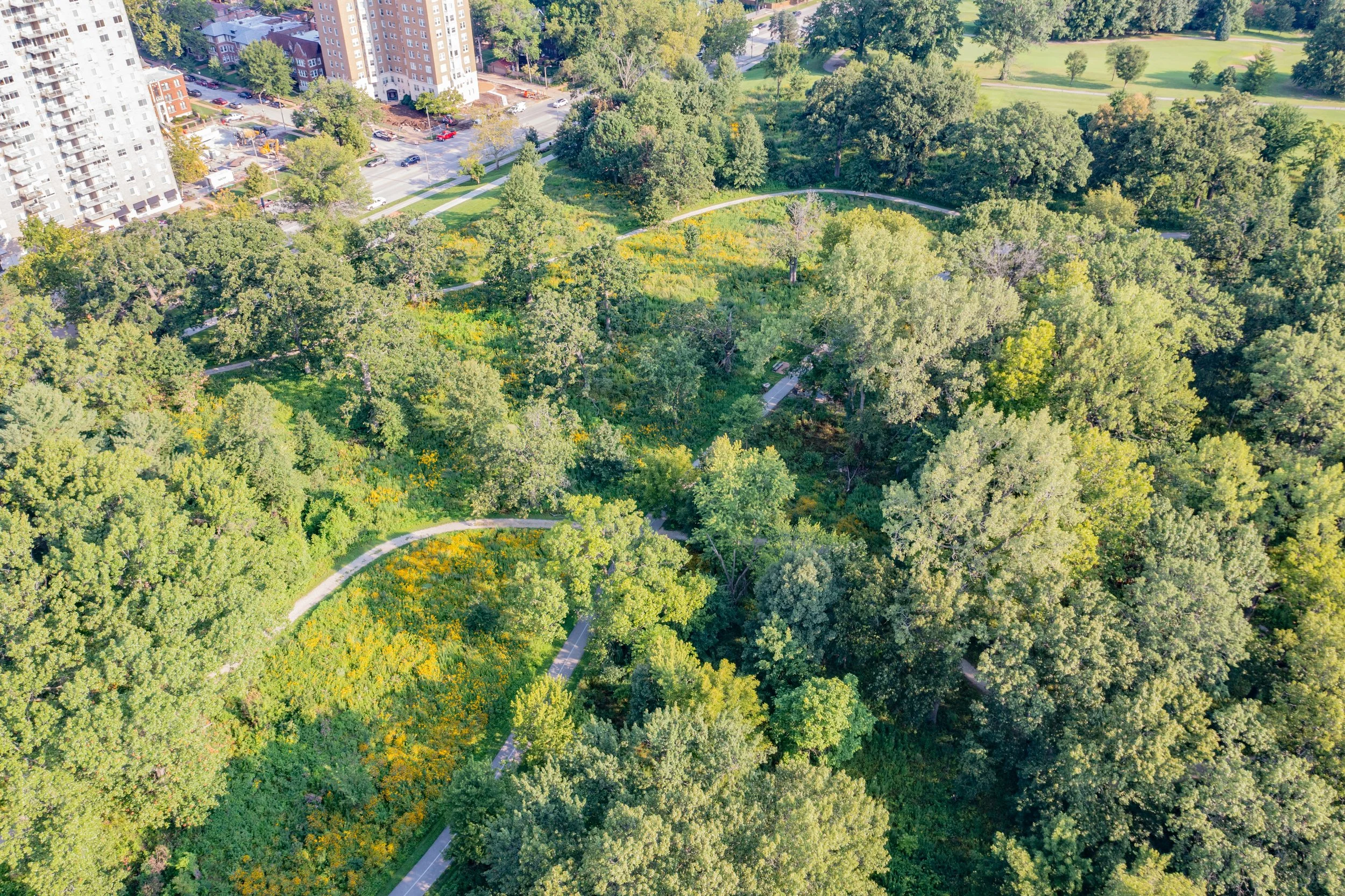 Forest Park Forever