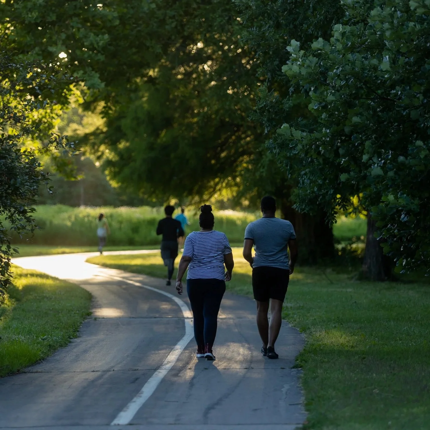 Dual Path — Forest Park Forever