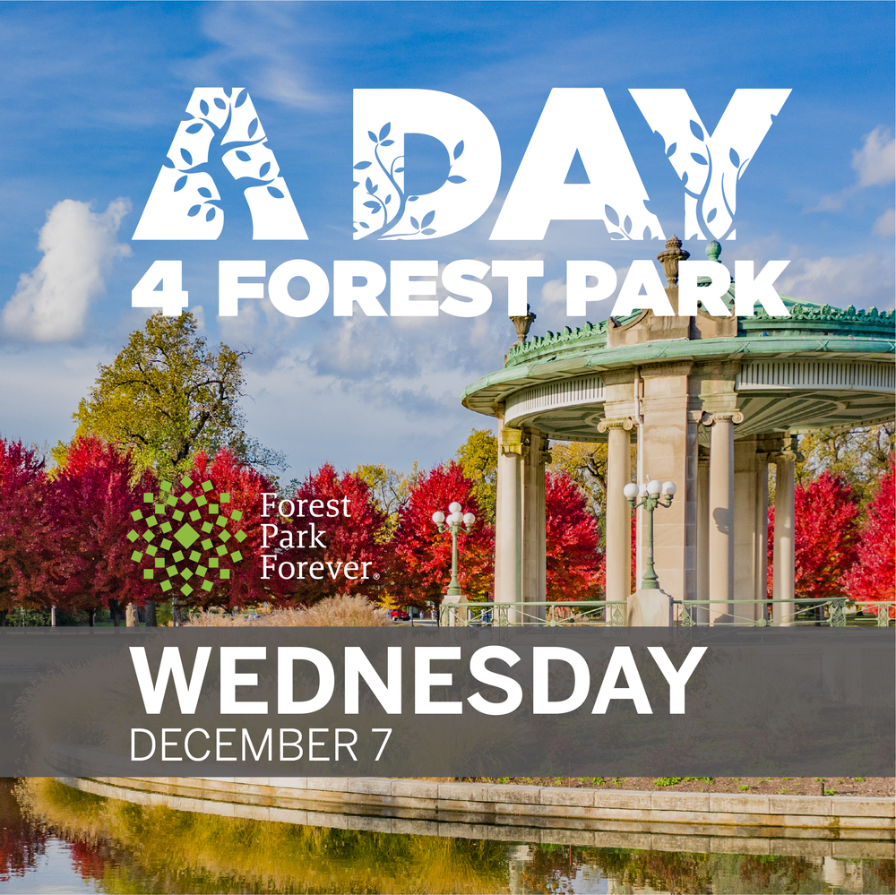 The Wonderful Trees in Forest Park — Forest Park Forever
