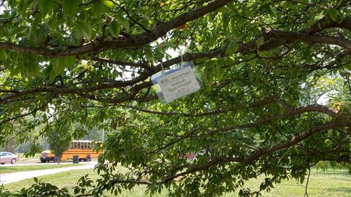 Tribute Gifts in Forest Park — Forest Park Forever