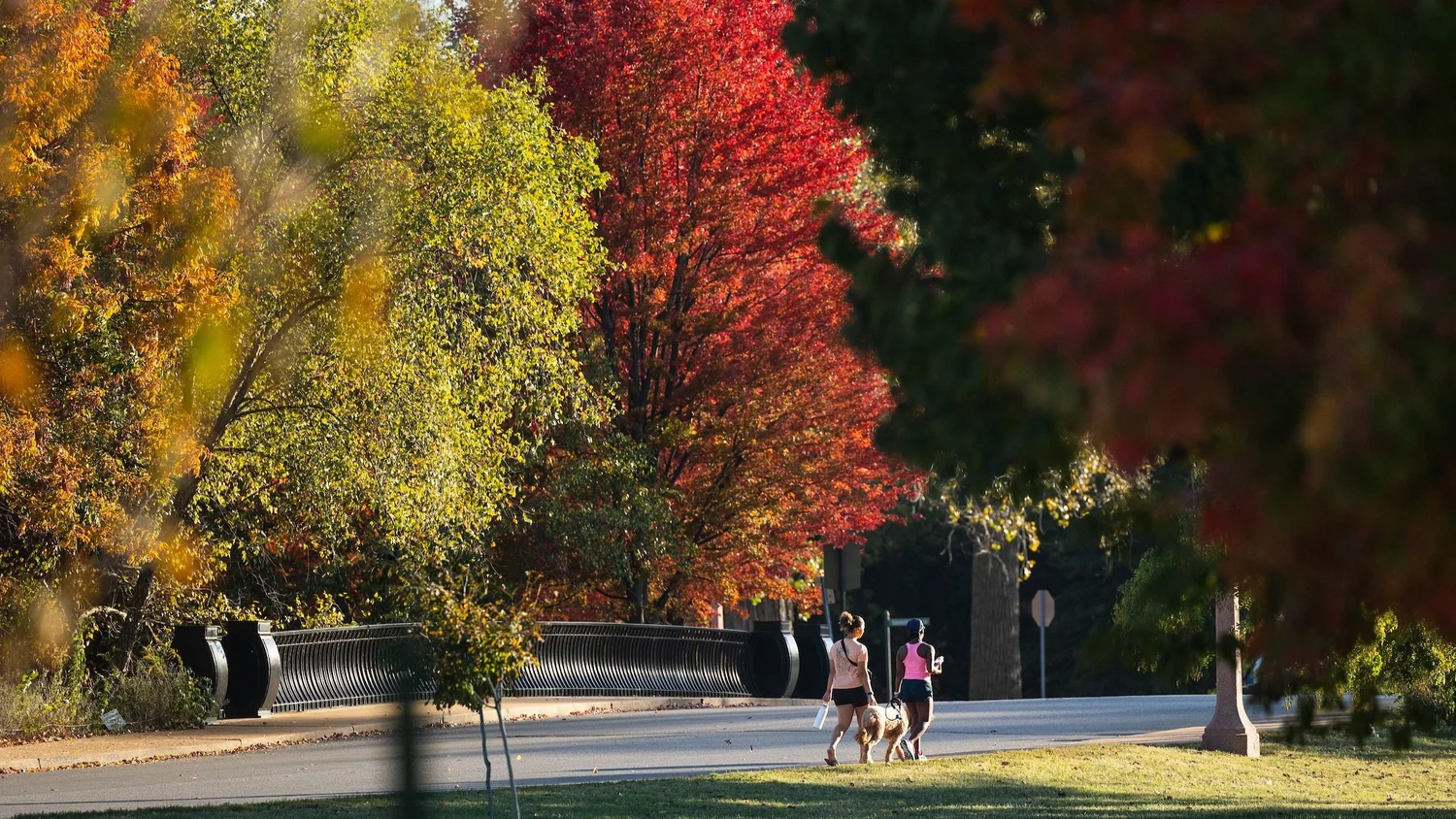 Your 2024 Guide to Fall in Forest Park — Forest Park Forever