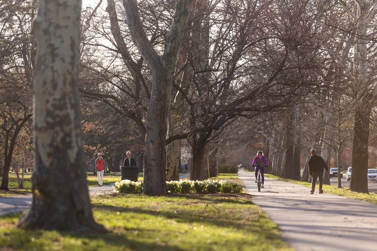 Dual Path — Forest Park Forever