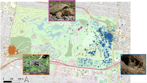 Forest Park Living Lab — St. Louis Scientists Collaborate on New Study ...
