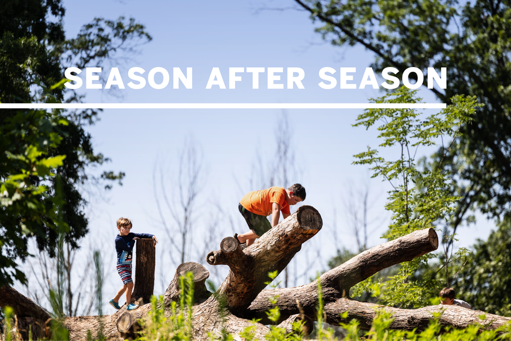 Season After Season*, Forest Park Forever — Forest Park Forever