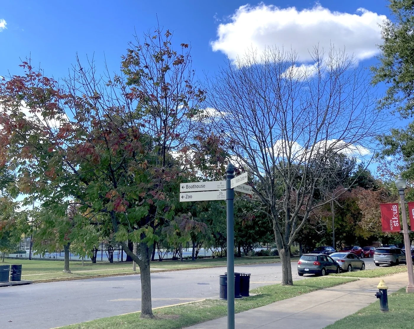 Replacing Trees on Grand Drive Affected by Emerald Ash Borer — Forest ...