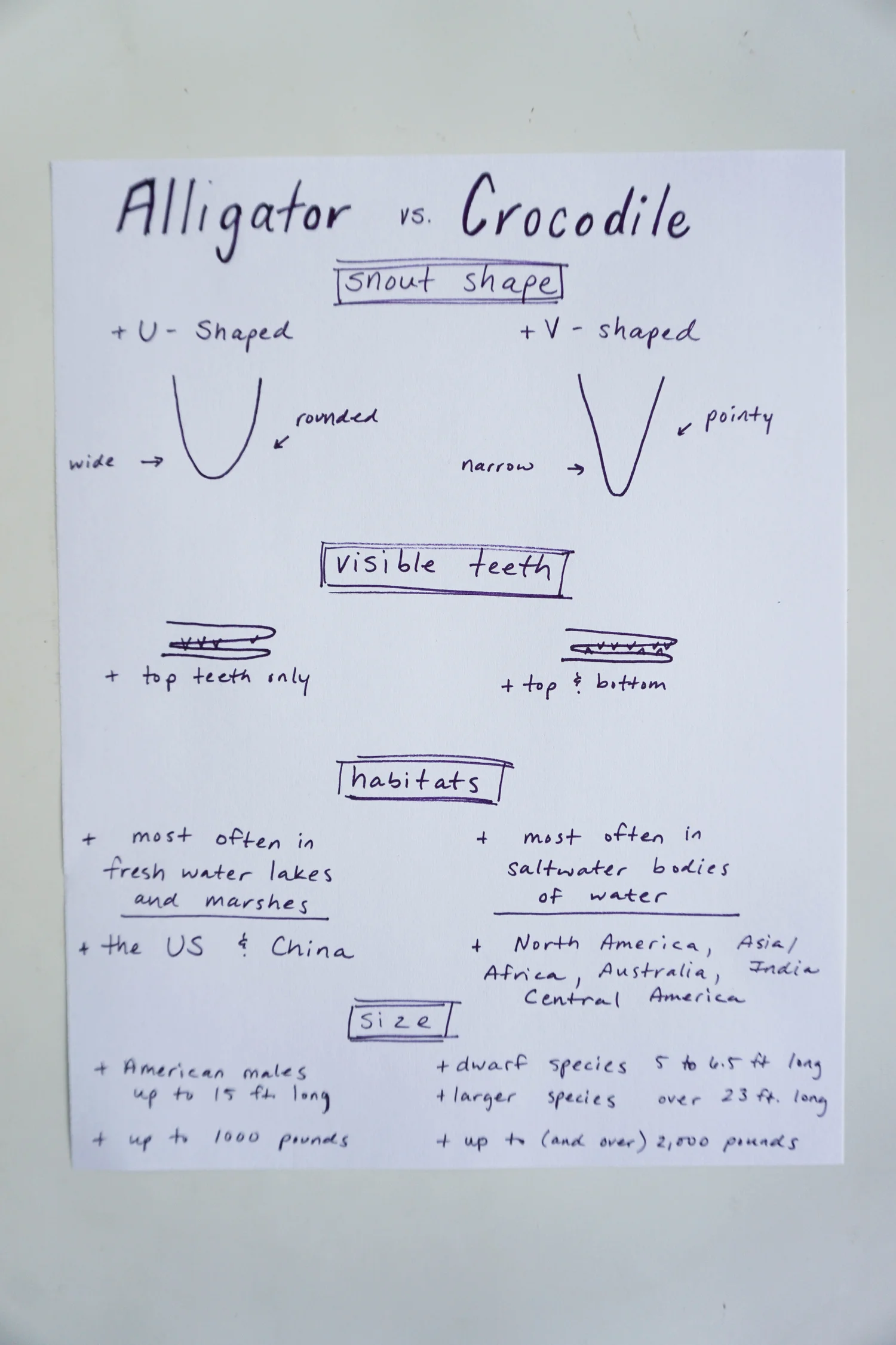 Lurking Alligator or Crocodile — elementary goods