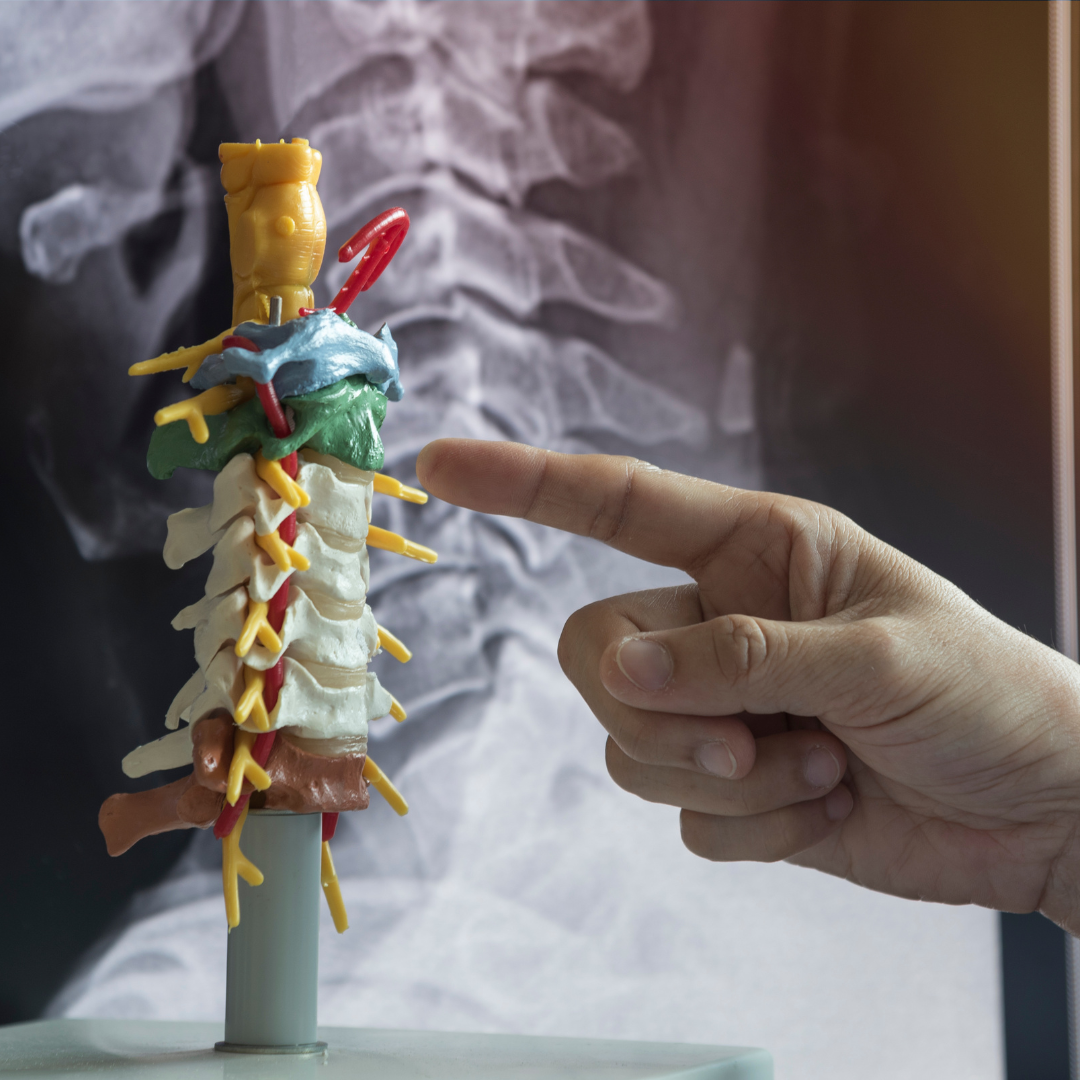 Disease vs. DIS-EASE — Jarek Esarco, D.C.