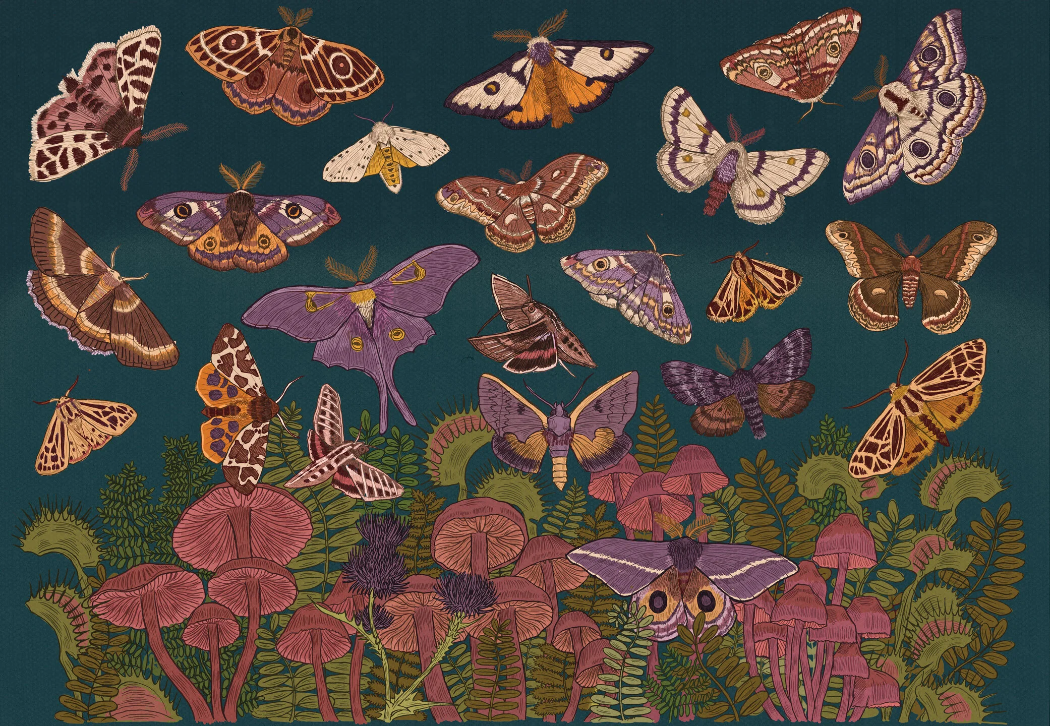 Moths Poster Print — Rachel Jablonski Artist & Designer