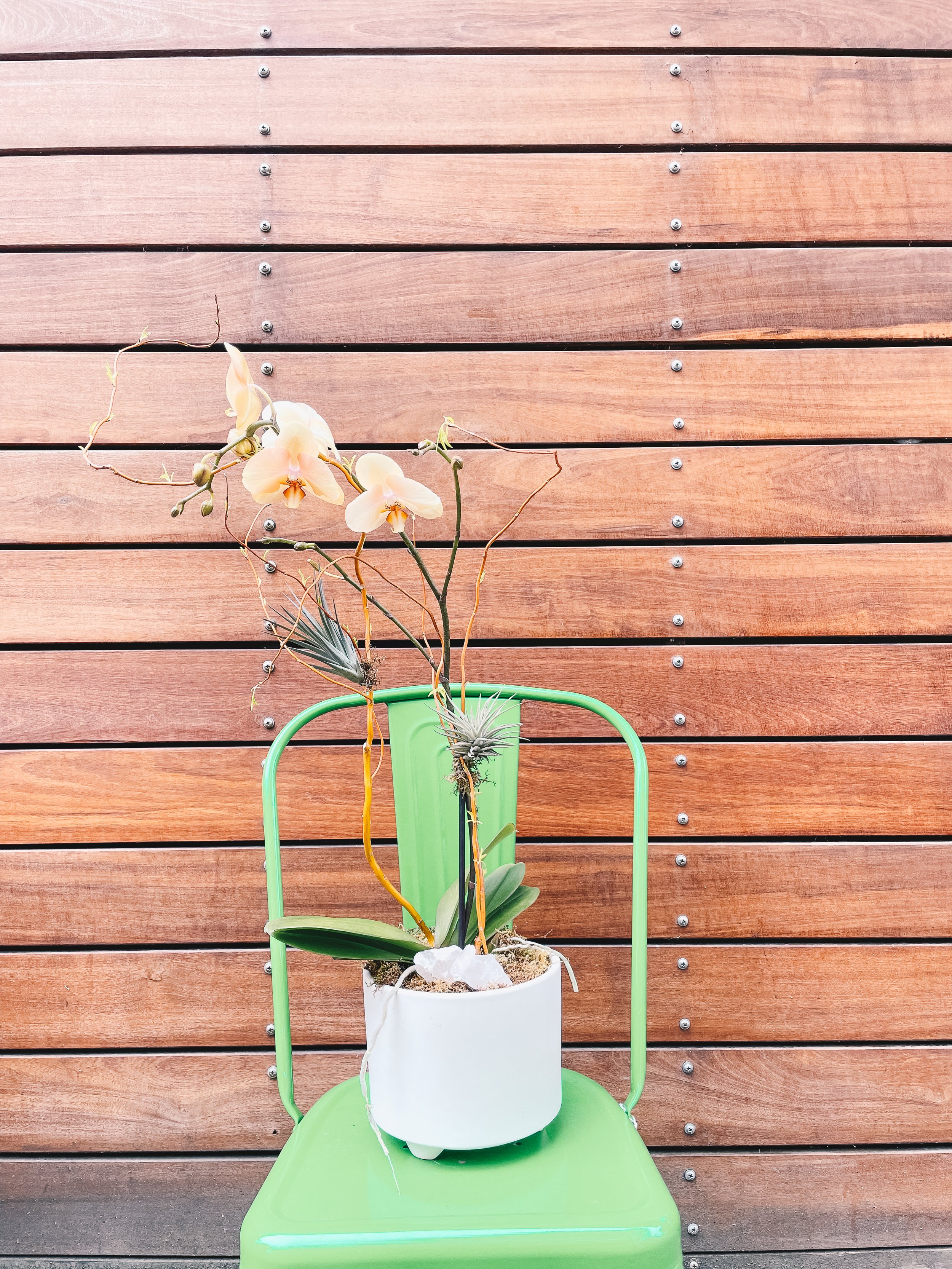 passionflower | Florist, Gifts, Eugene, Oregon