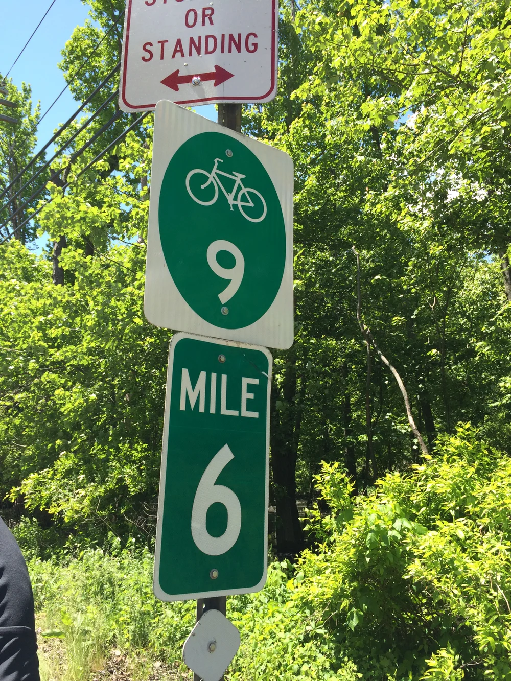 Cycling across the George Washington Bridge — OutdoorFest Productions