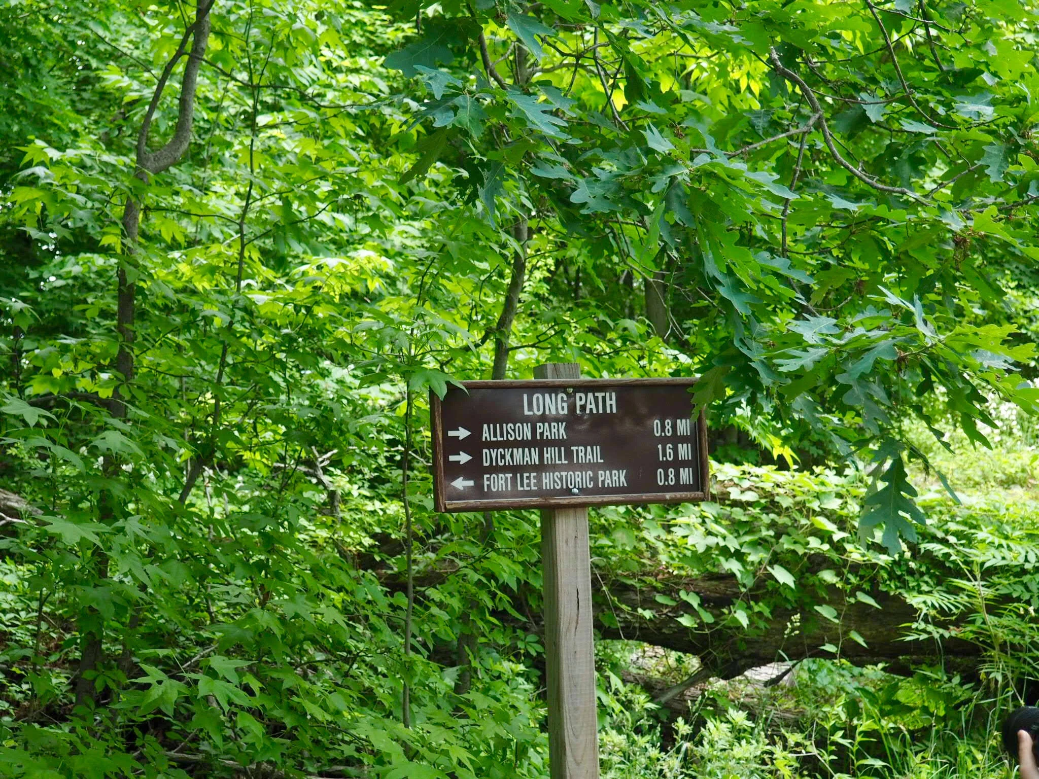 Hiking the Long Path — OutdoorFest Productions