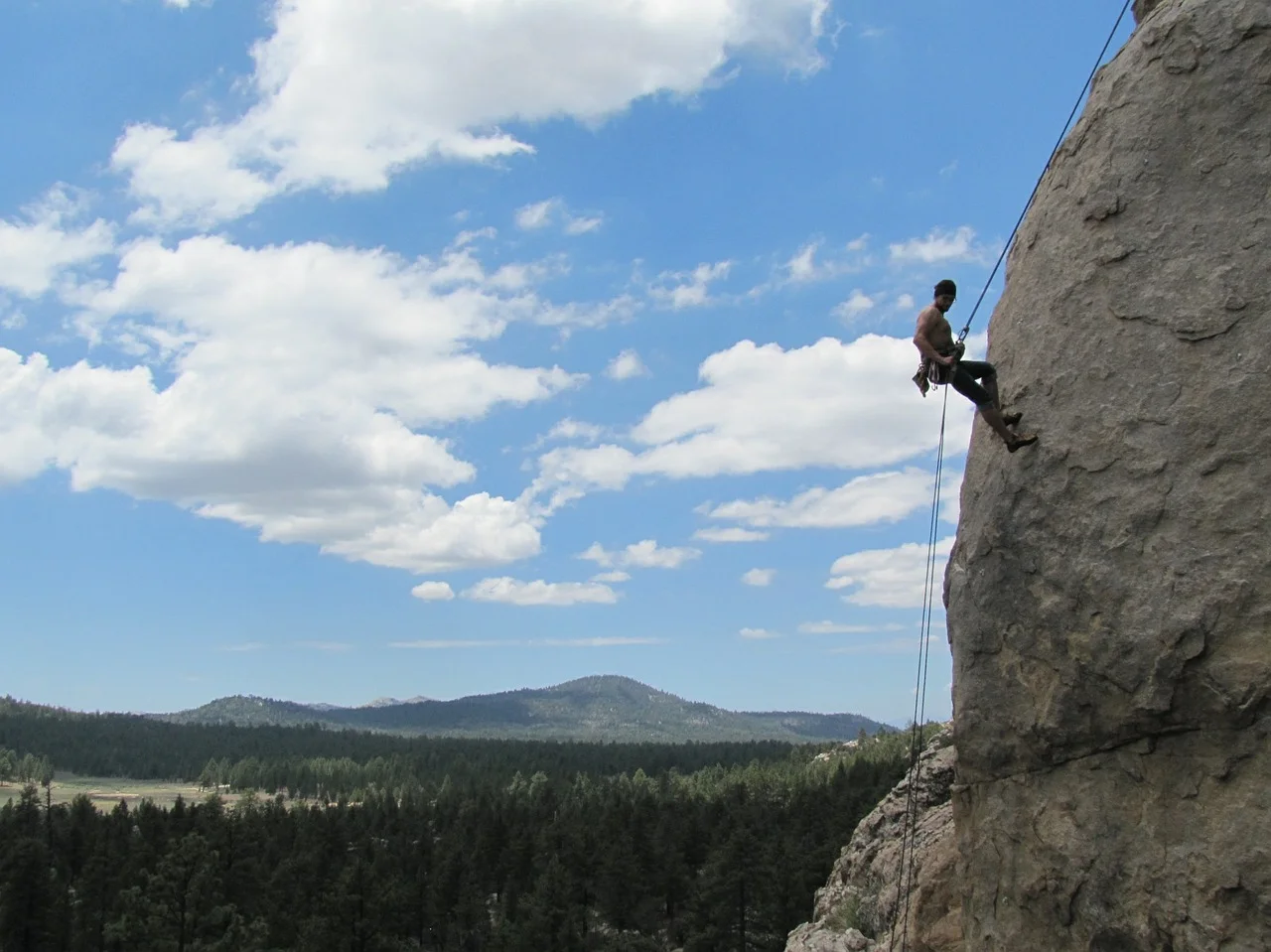 Cliffhangers - A Good Idea or Not? — Jennifer Ellis - Writing