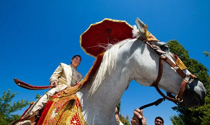 Baraat Wedding Horse / Elephant Services — WeddingDholPlayer