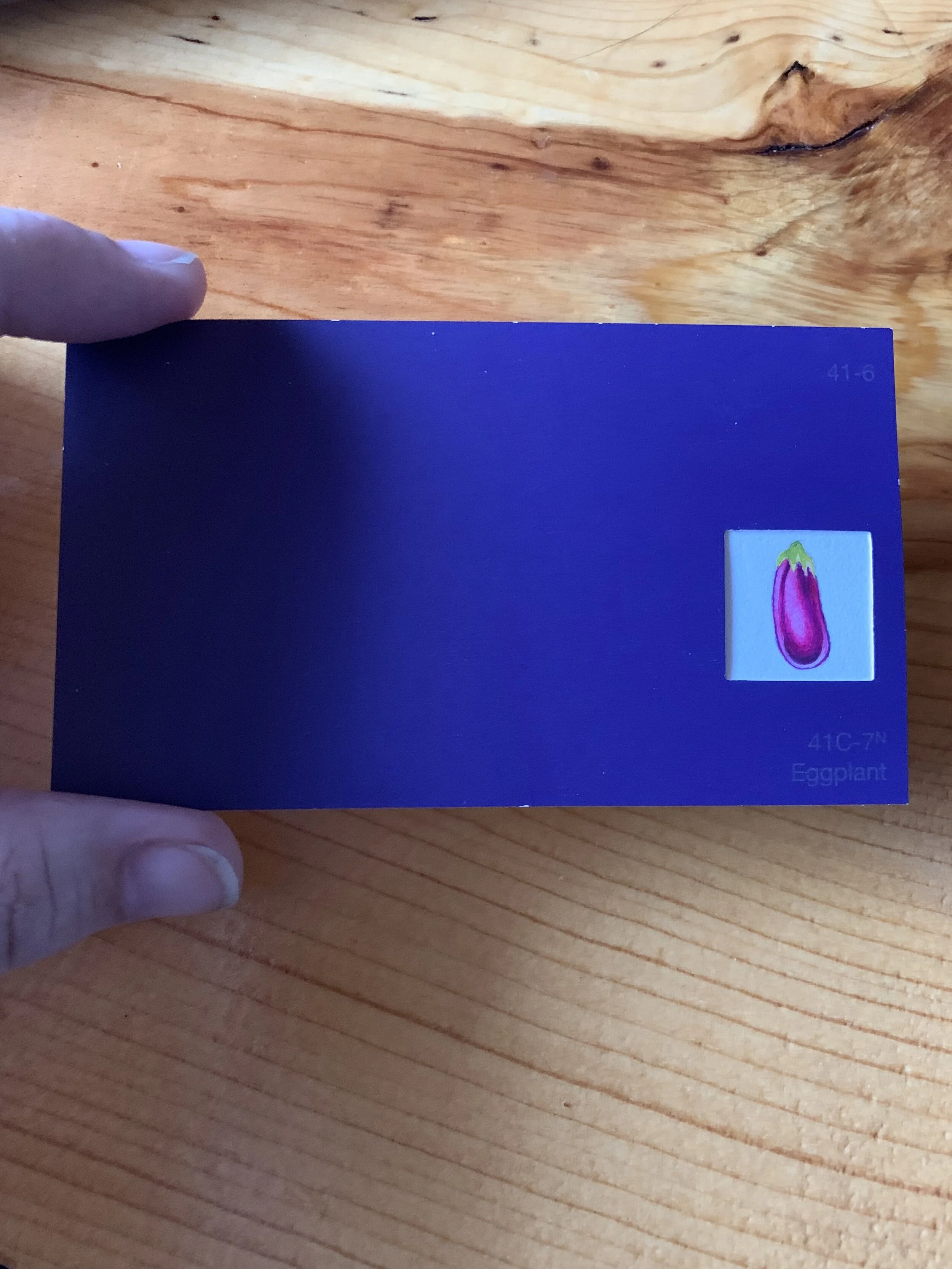 megan-foldenauer-creative-eggplant