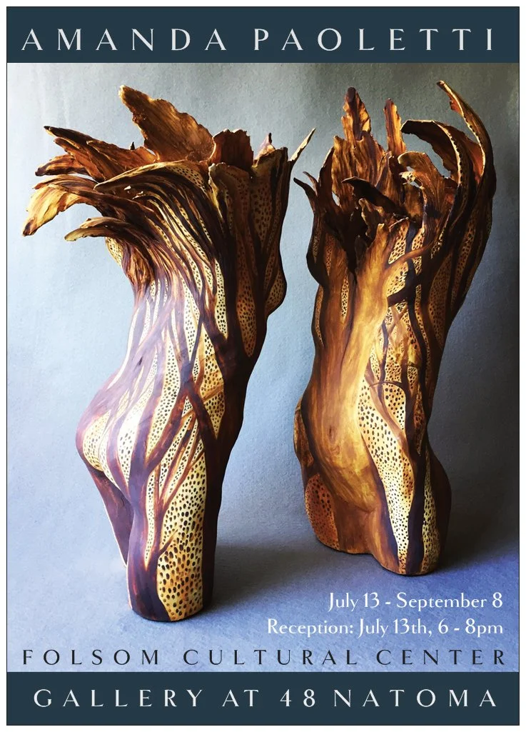 A M A N D A P A O L E T T I — Artists' Studio in the Foothills