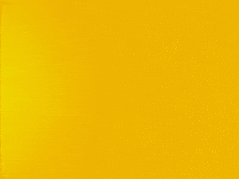 Interactive Check-in — AdGators