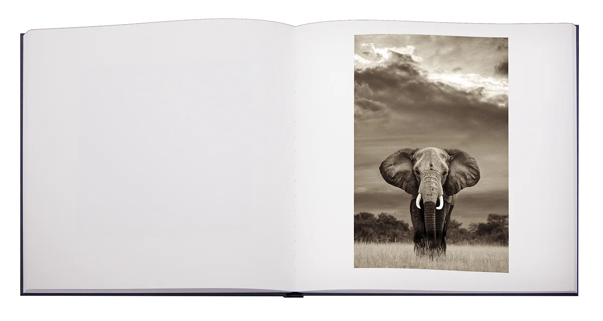 BOOK — Graham Springer | Fine Art | African Wildlife Photography