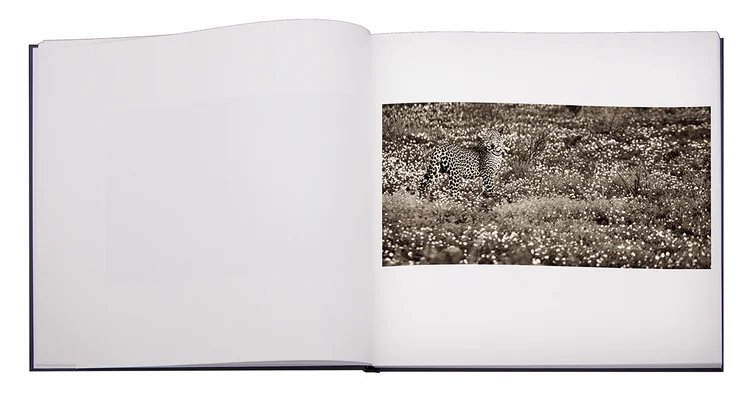 BOOK — Graham Springer | Fine Art | African Wildlife Photography