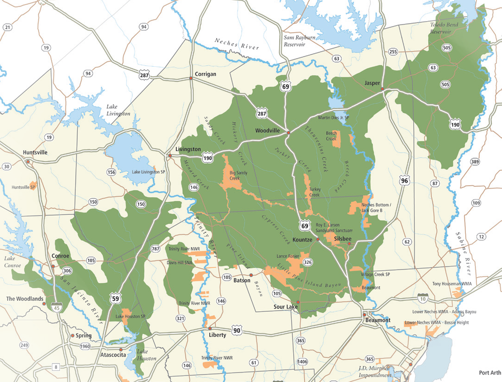 Big Thicket — Houston Wilderness
