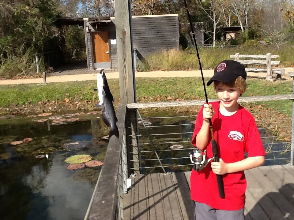 Great Green Quest Gallery — Houston Wilderness