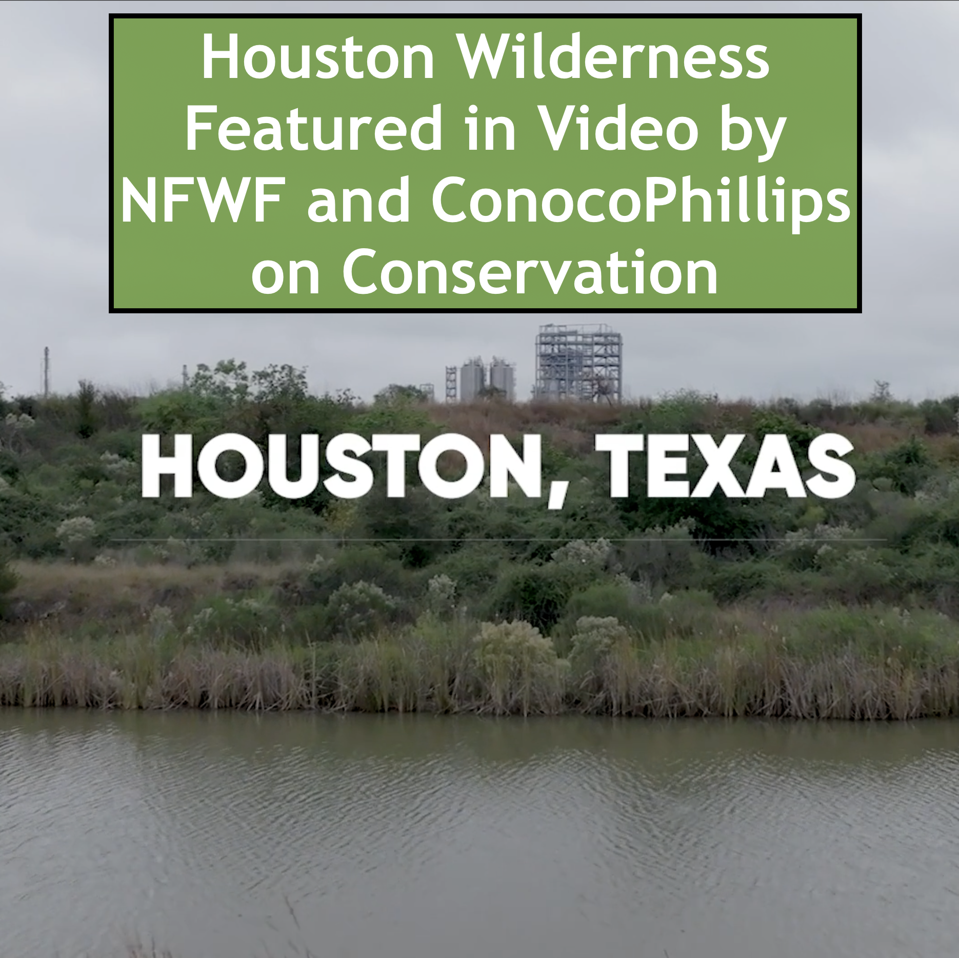 Piney Woods — Houston Wilderness