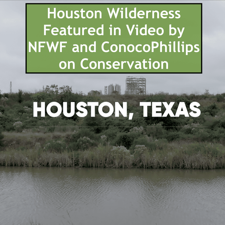 Estuaries and Bays — Houston Wilderness
