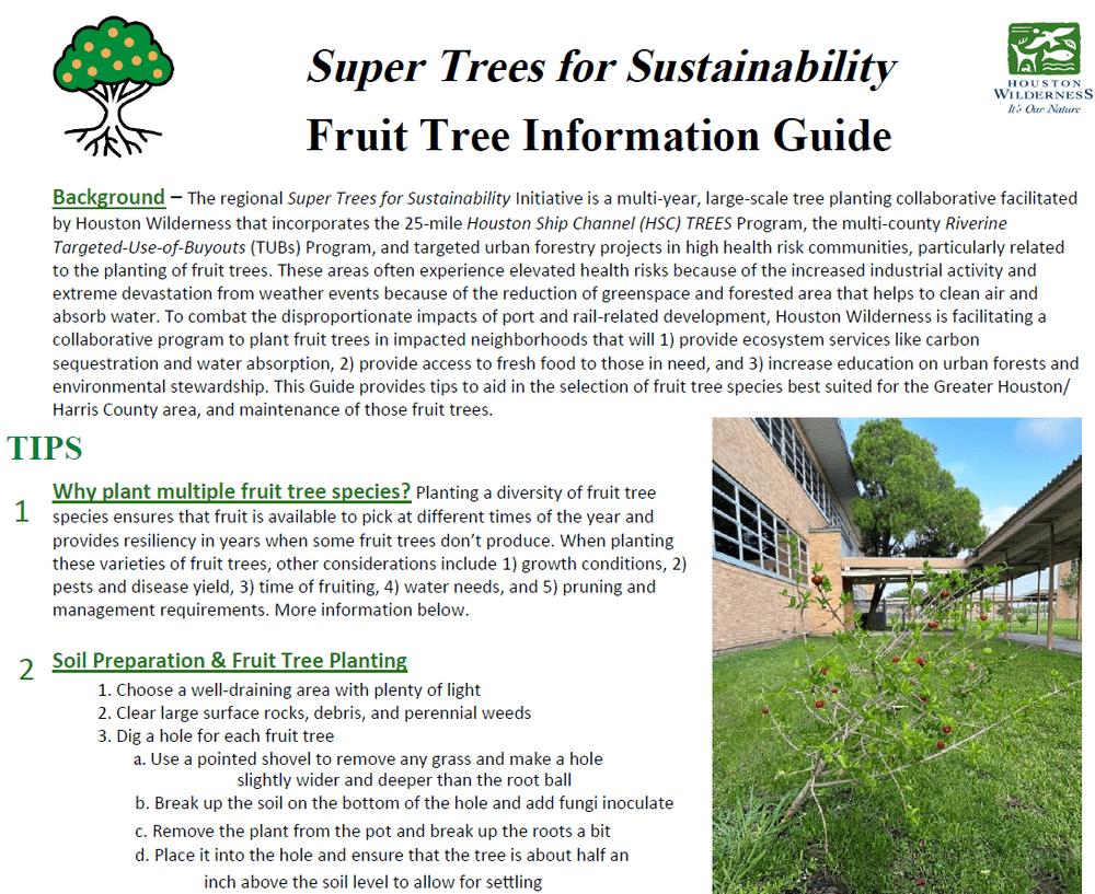 Super Trees for Sustainability Initiative — Houston Wilderness